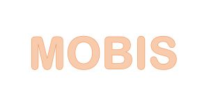Mobis Reviews | View Portfolios | DesignRush