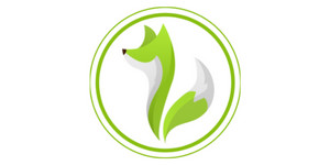 Ifox Solutions Reviews and Clients | DesignRush