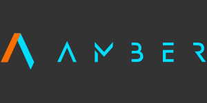 Amber Reviews | View Portfolios | DesignRush