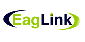 The Eaglink Reviews and Clients | DesignRush