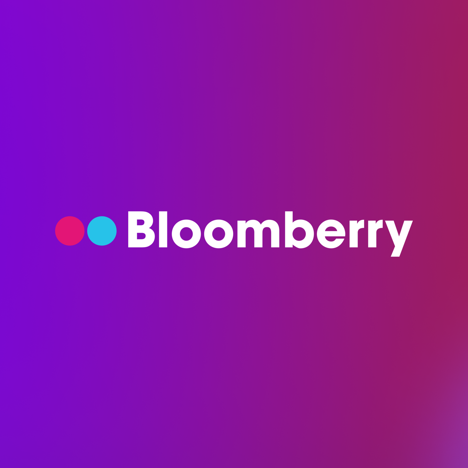 Bloomberry Reviews | View Portfolios | DesignRush