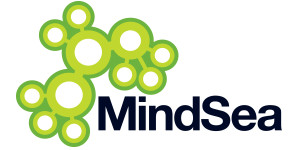 MindSea Reviews | View Portfolios | DesignRush