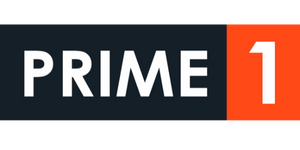 Prime One Global Reviews | View Portfolios | DesignRush