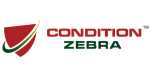 Condition Zebra Reviews and Clients | DesignRush