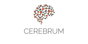 Cerebrum Reviews and Clients | DesignRush
