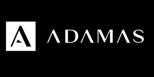 ADAMAS Consulting Reviews and Clients | DesignRush