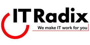 IT Radix Reviews and Clients | DesignRush