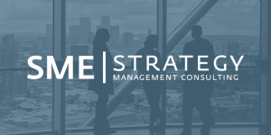 SME Strategy Consulting Reviews and Clients | DesignRush