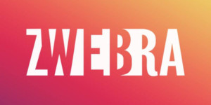 Zwebra Web Studio Inc Reviews and Clients | DesignRush