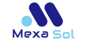 Mexsol Reviews | View Portfolios | DesignRush