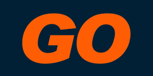 GO-Globe Reviews | View Portfolios | DesignRush