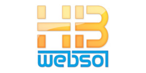 HB WEBSOL Reviews and Clients | DesignRush