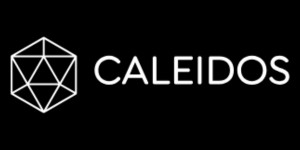 Caleidos Reviews and Clients | DesignRush