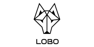 Lobo Web Design Inc Reviews and Clients | DesignRush