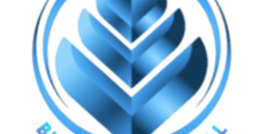 Blue Flare Digital Reviews and Clients | DesignRush