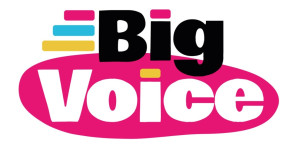 Big Voice Ltd Reviews and Clients | DesignRush
