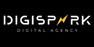 DIGISPARK Reviews and Clients | DesignRush