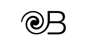 Brian Ellis Martin Reviews | View Portfolios | DesignRush