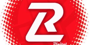 RoadLink Digital Reviews | View Portfolios | DesignRush