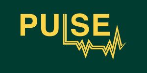 Pulse Digital Health Reviews | View Portfolios | DesignRush