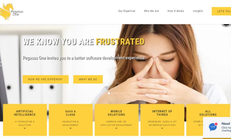 Pegasus One Reviews and Clients | DesignRush