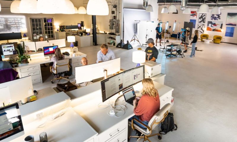 Bearpaw Partners Reviews and Clients | DesignRush