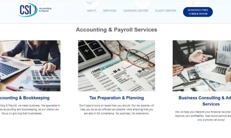 CSI Accounting Reviews and Clients | DesignRush