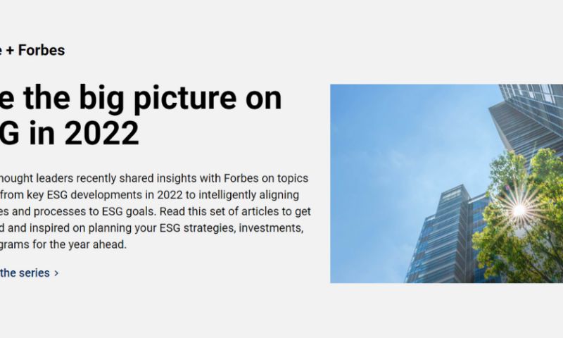 Crowe Reviews | View Portfolios | DesignRush