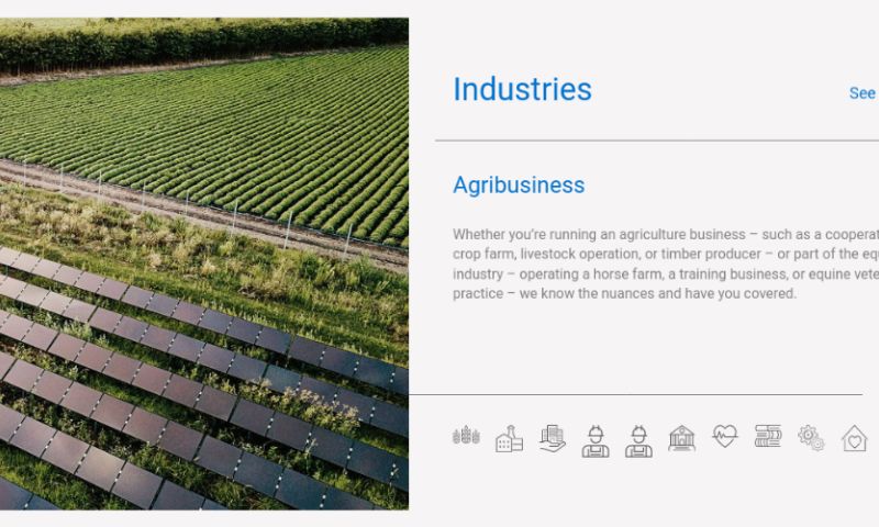 Blue & Co. Reviews and Clients | DesignRush