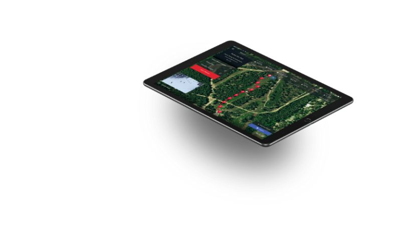 Punch Group Reviews and Clients | DesignRush