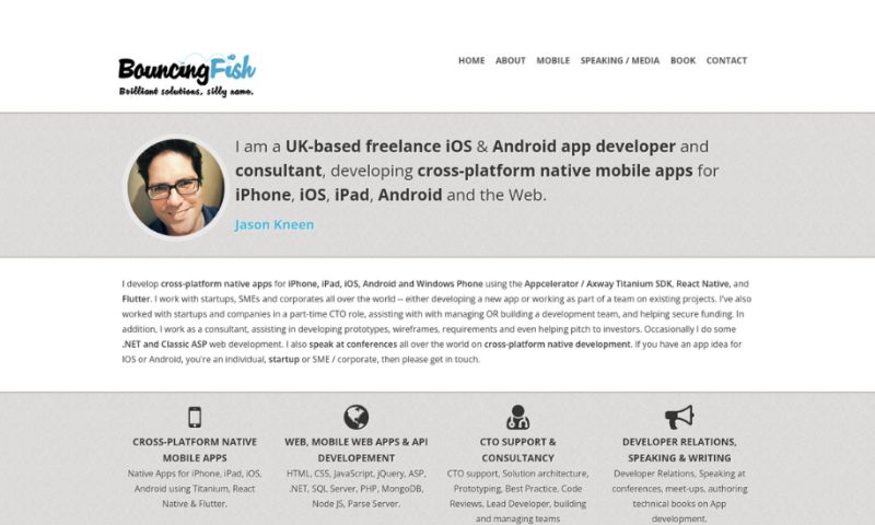 BouncingFish Reviews and Clients | DesignRush