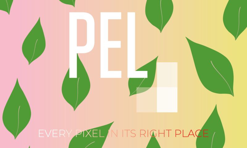 Pel Reviews and Clients | DesignRush