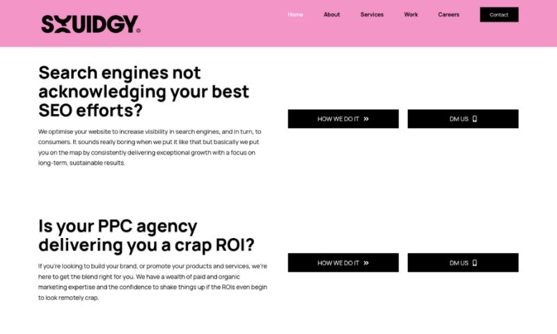 Squidgy Reviews | View Portfolios | DesignRush