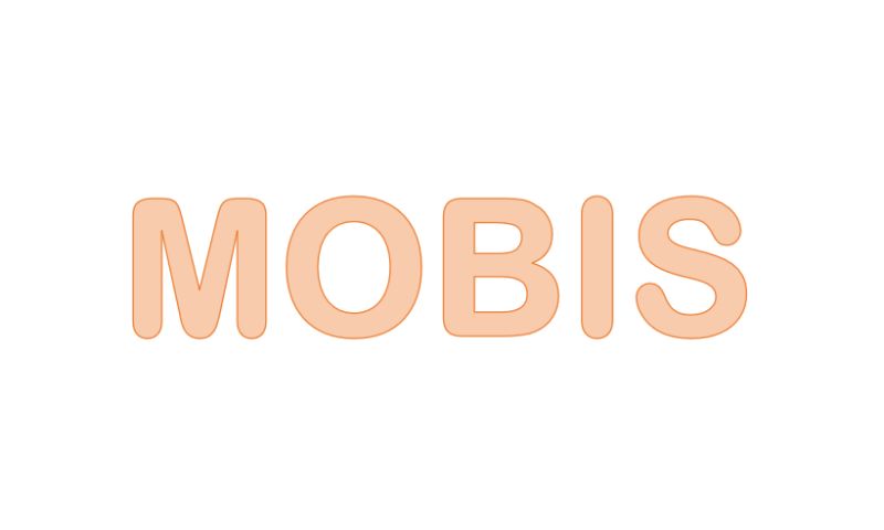 Mobis Reviews | View Portfolios | DesignRush