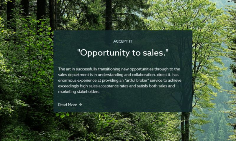 Direct IT Reviews and Clients | DesignRush