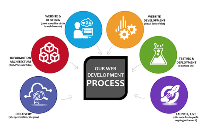 Texas Web Solution Reviews and Clients | DesignRush