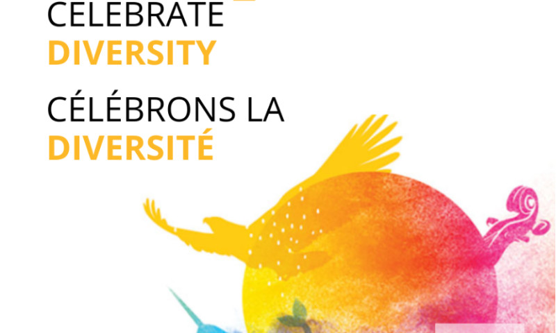 Nordia Inc. Reviews and Clients | DesignRush