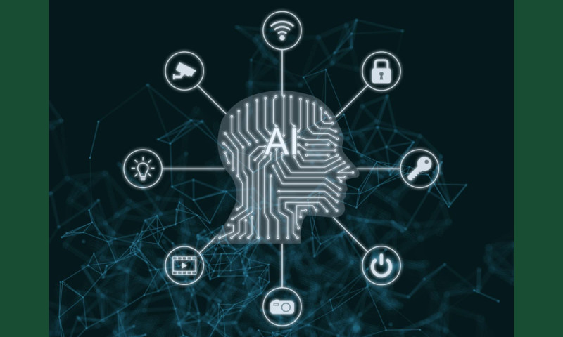 Apolis Reviews and Clients | DesignRush