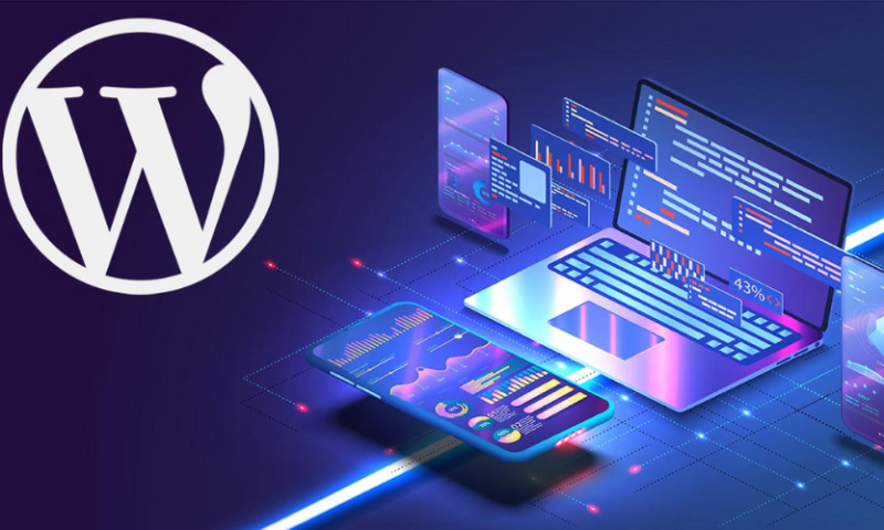 Infinity Digital Agency (IDA) Reviews and Clients | DesignRush