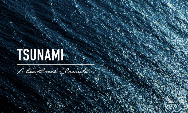 Regine Design Co. Reviews | View Portfolios | DesignRush