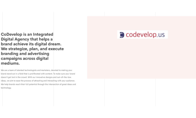 CoDevelop.us Reviews and Clients | DesignRush