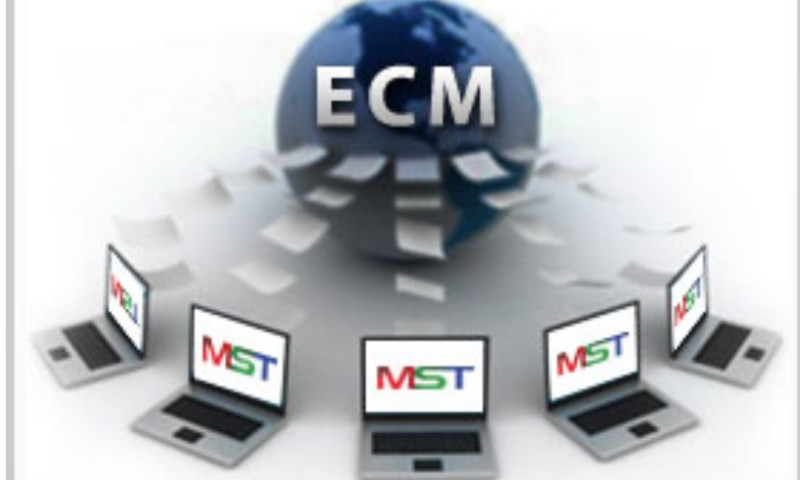 MS Technology Reviews and Clients | DesignRush