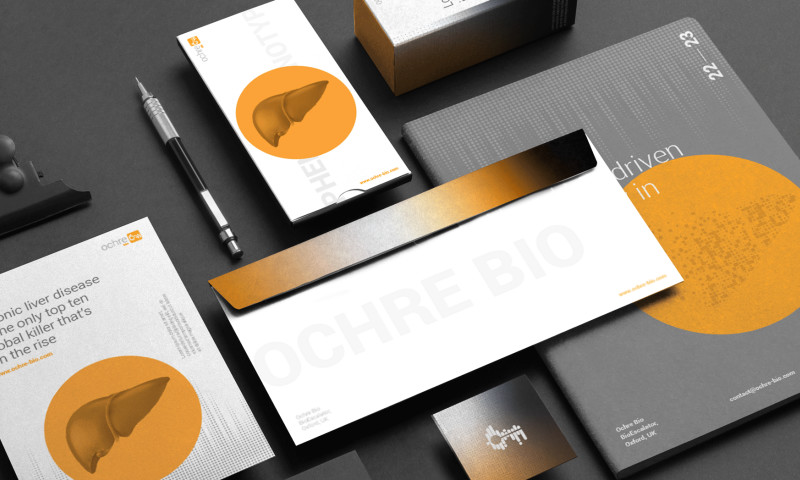 Panthera Designs Reviews and Clients | DesignRush