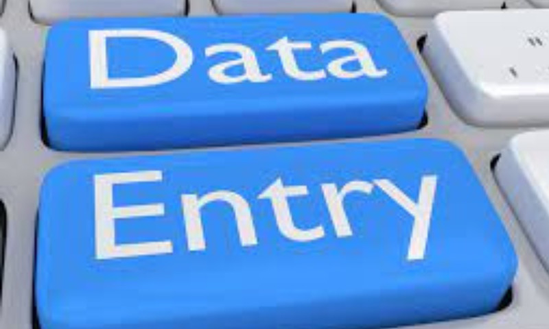 Data-Entry-India.com Reviews and Clients | DesignRush