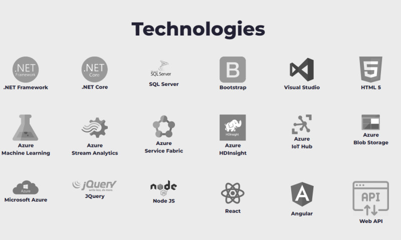 Codergy Reviews and Clients | DesignRush