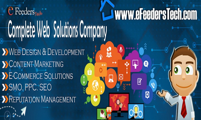 eFeeders Tech Reviews and Clients | DesignRush