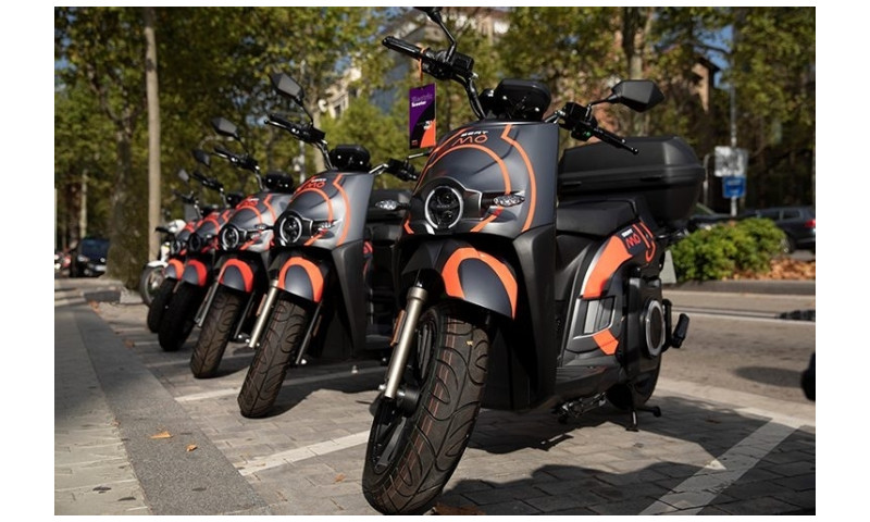 ELISAVA Reviews and Clients | DesignRush