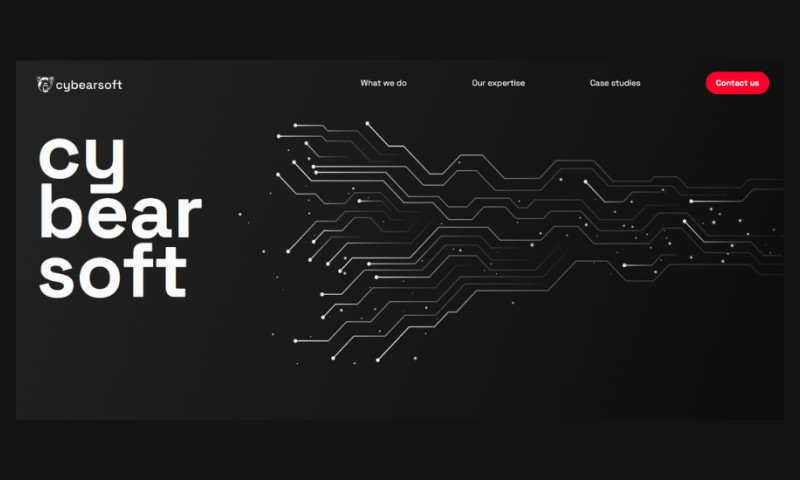 CyBearSoft Reviews and Clients | DesignRush