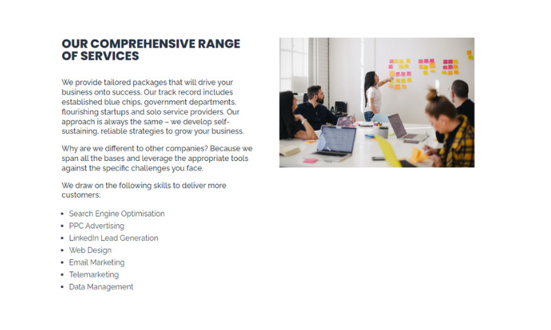 Cash Cow Marketing Reviews and Clients | DesignRush