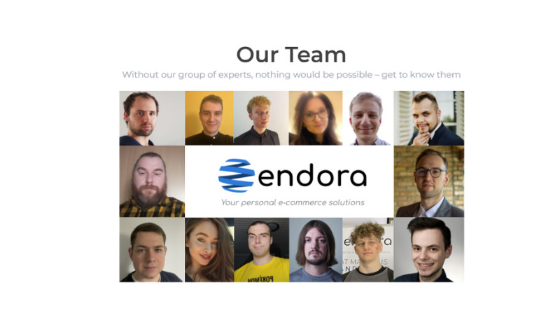 ENDORA Reviews | View Portfolios | DesignRush